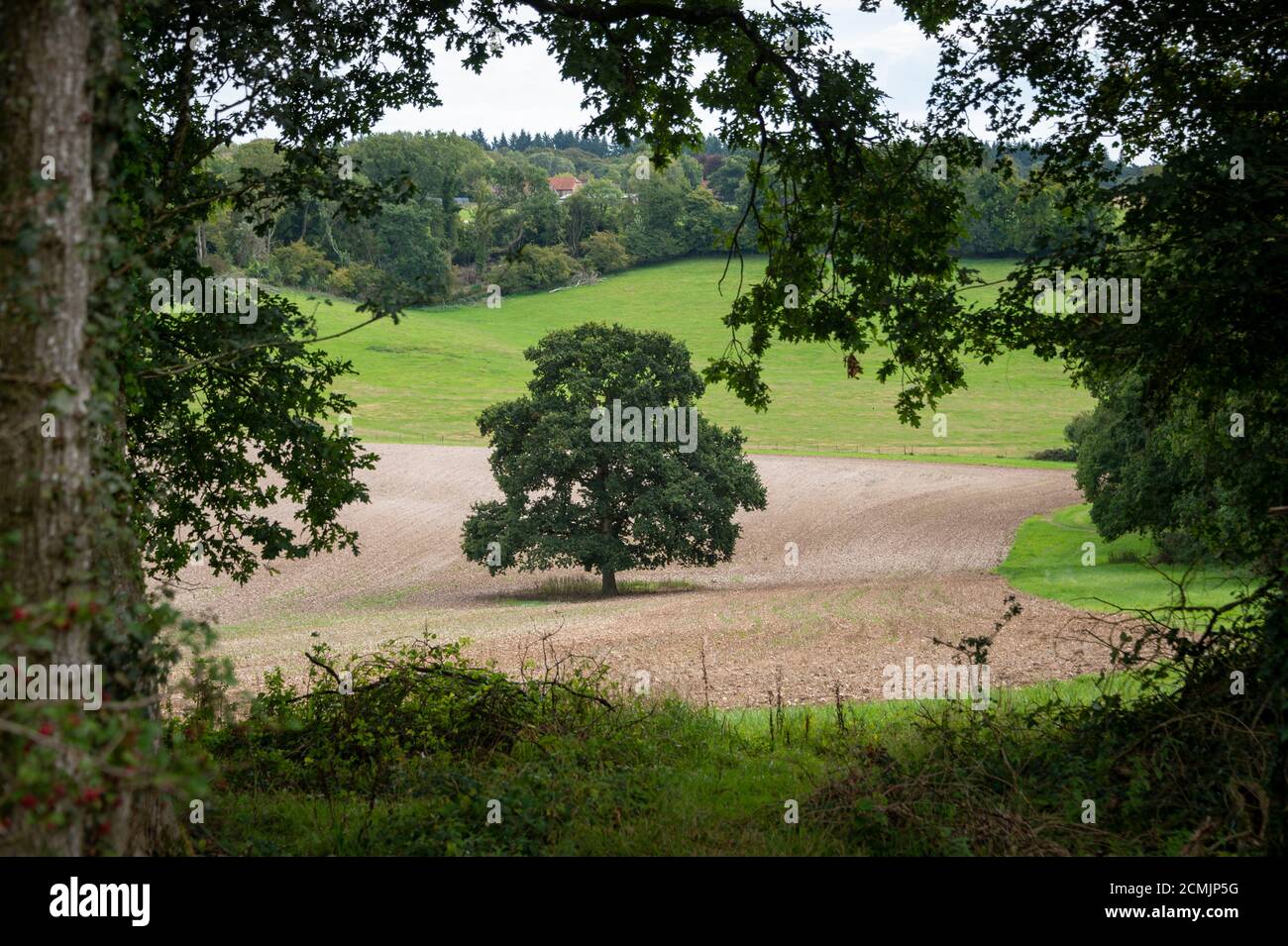 English farm scene hi-res stock photography and images - Alamy