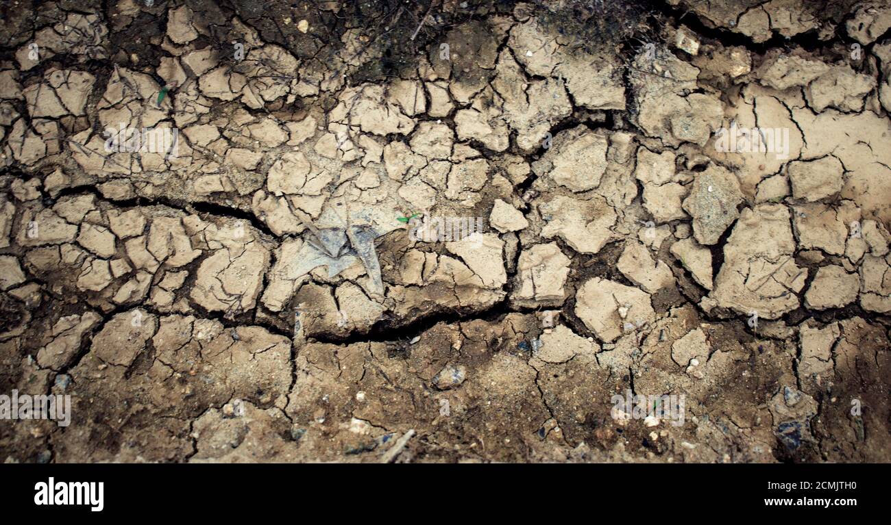 Cracks in dried mudflats hi-res stock photography and images - Alamy