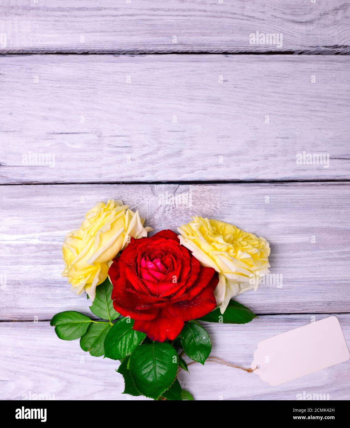 Three flowering roses and a white paper tag Stock Photo - Alamy