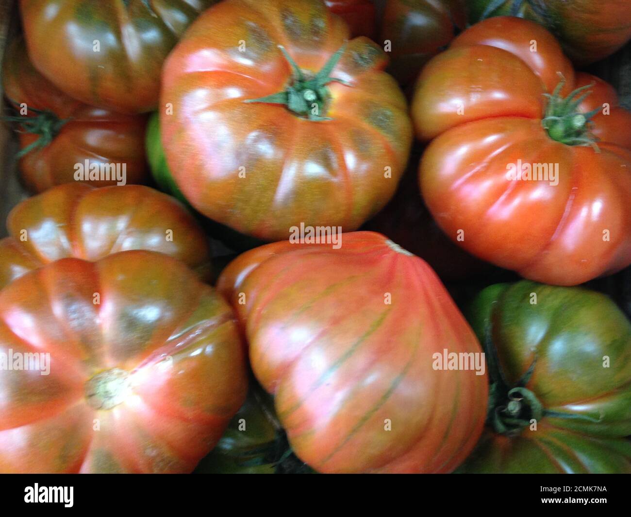 Planta comida hi-res stock photography and images - Alamy
