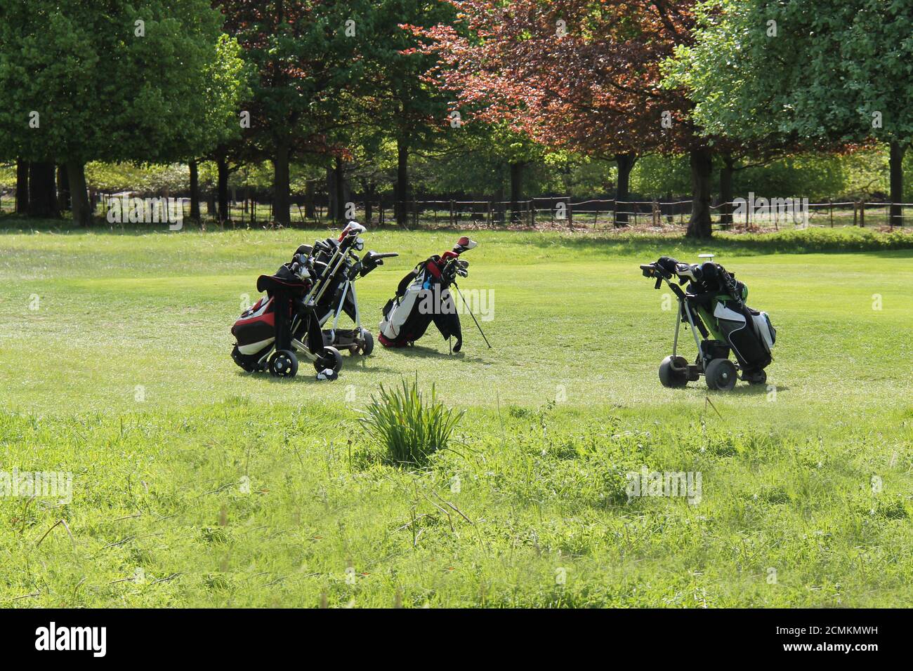Three Golf Bags and Their Clubs on a Golf Course Stock Photo - Alamy