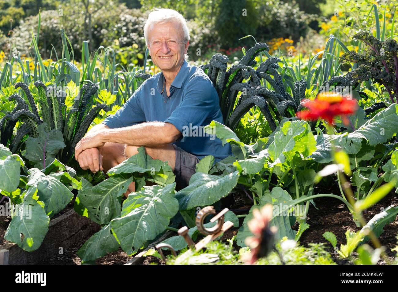 Charles dowding no dig hi-res stock photography and images - Alamy