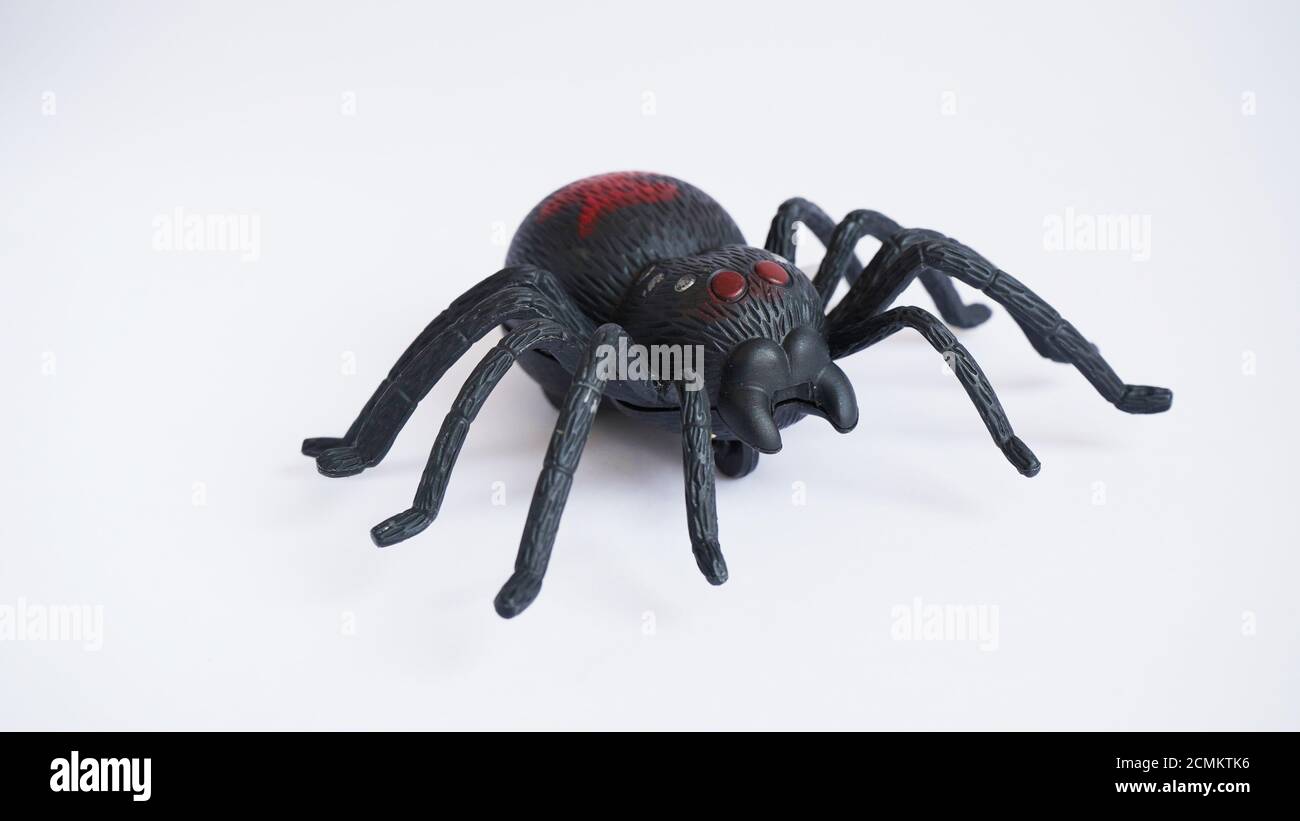 Black clockwork plastic toy spider on a white background, close up ...