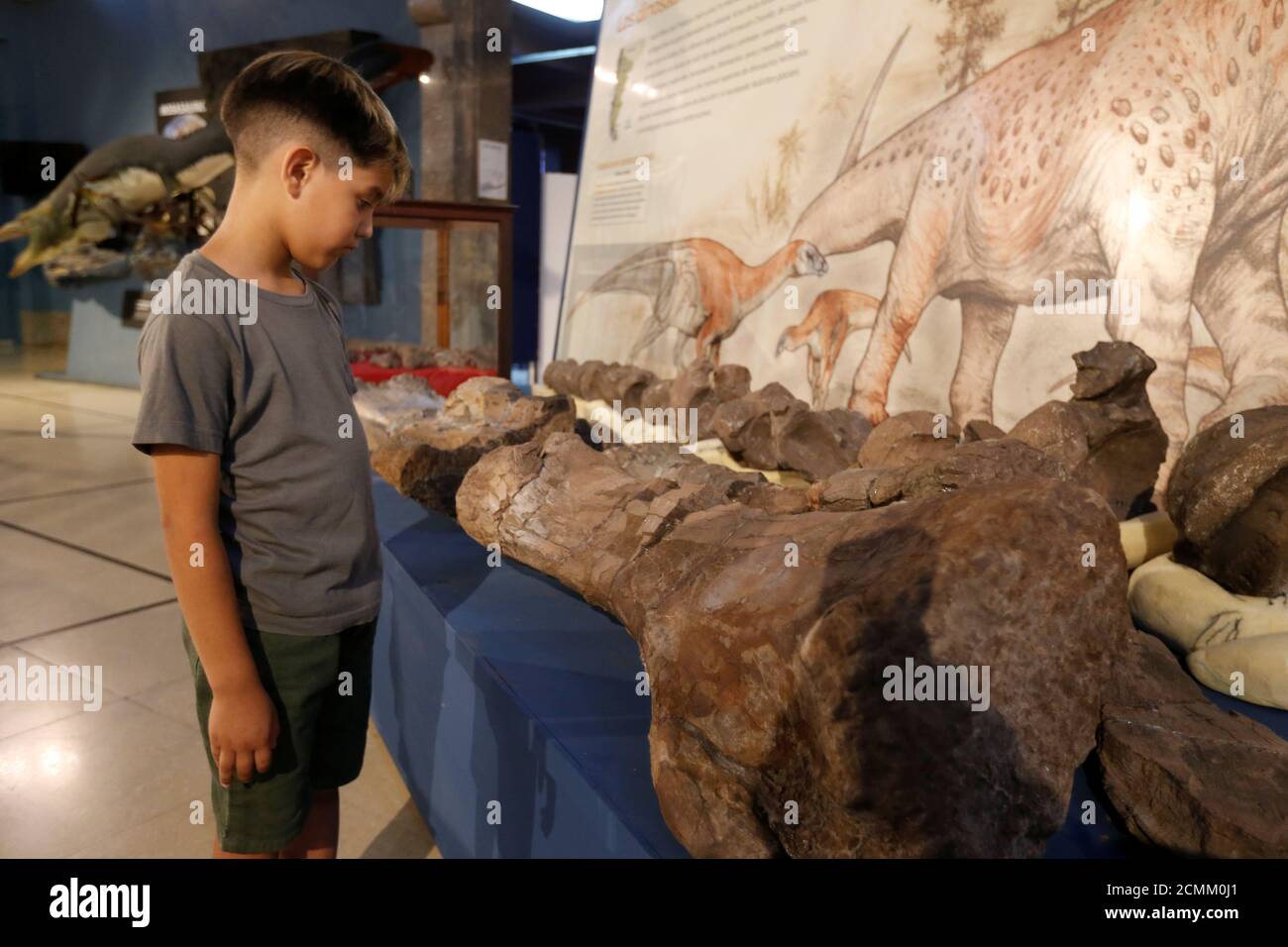 Museo Argentino De Ciencias Naturales High Resolution Stock Photography ...
