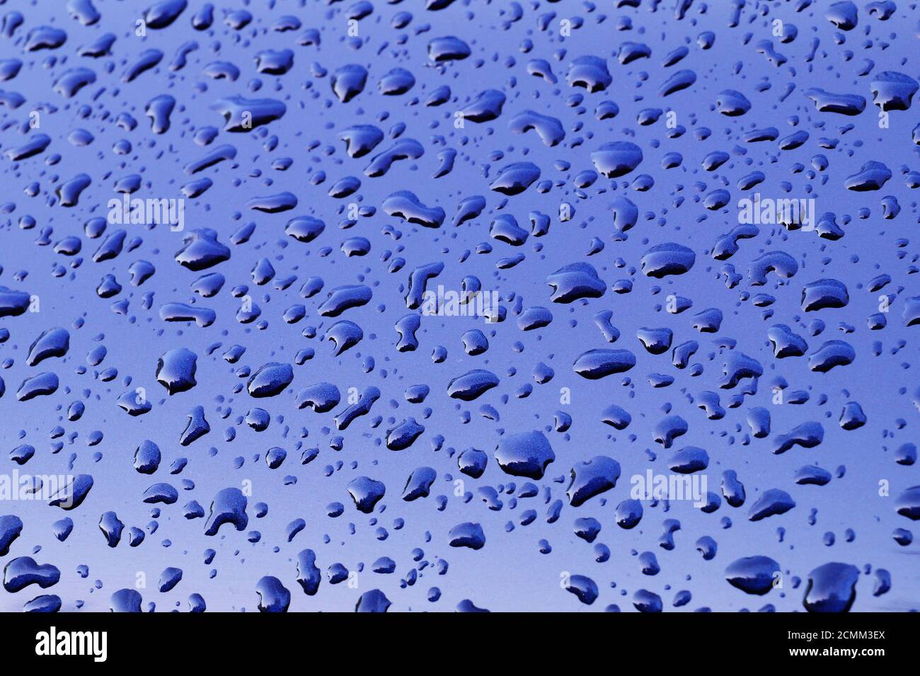 The surface of the washed car. Water droplets stay on its surface Stock ...
