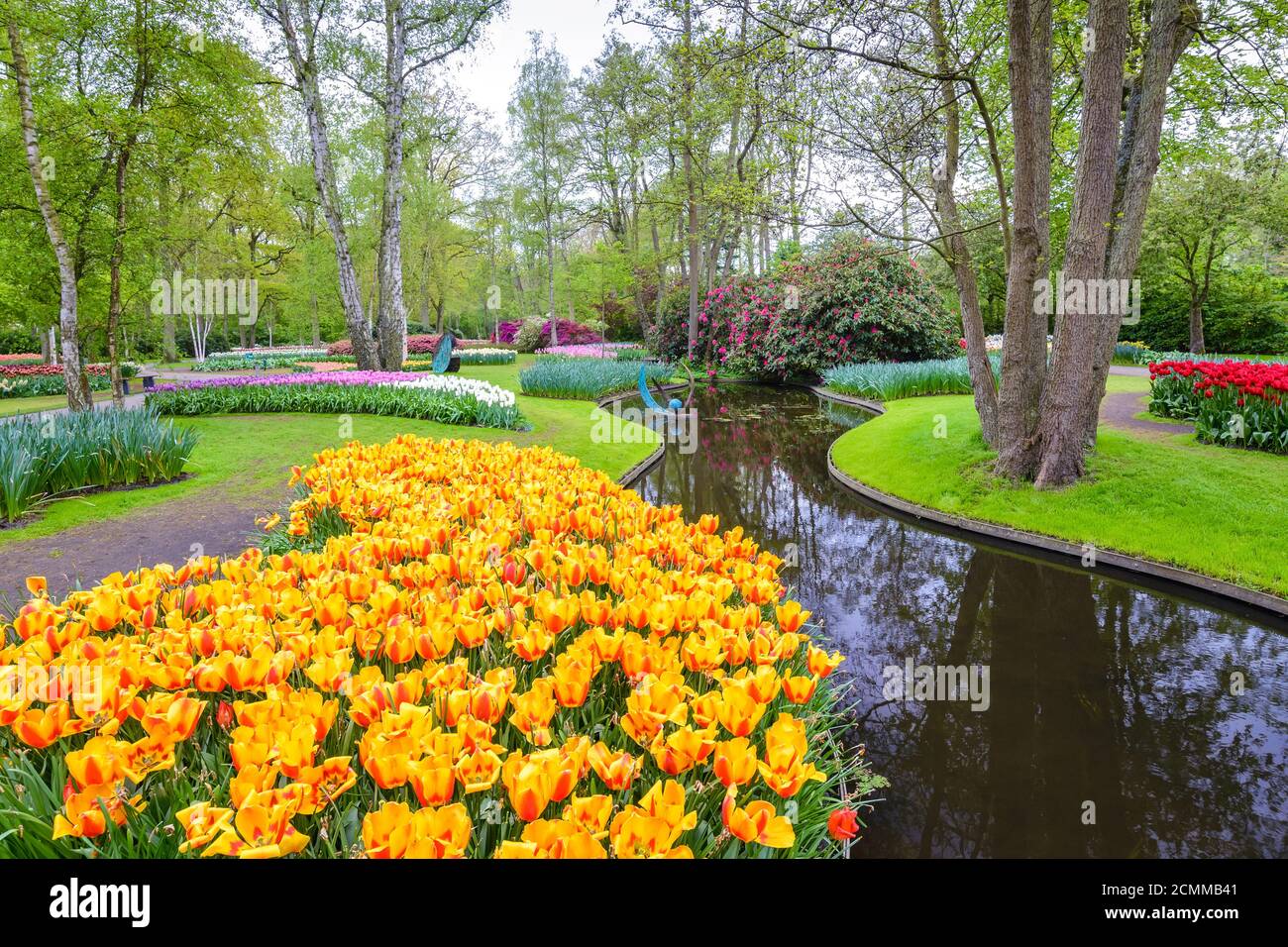 Spring tulip field in garden, Amsterdam, Netherlands Stock Photo - Alamy
