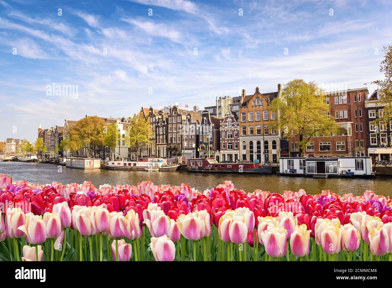 Amsterdam city skyline at canal waterfront with spring tulip flower ...