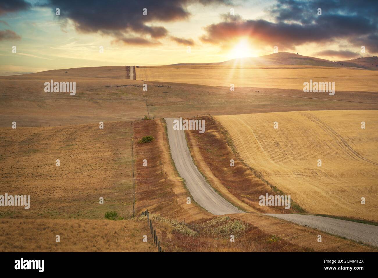 Roads running through the vastness of southern Alberta, Canada Stock ...