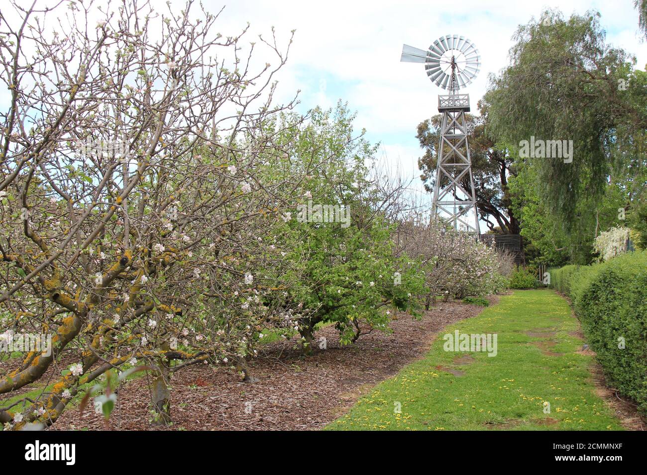 orchard and windmill in a garden in melbourne (australia Stock Photo ...