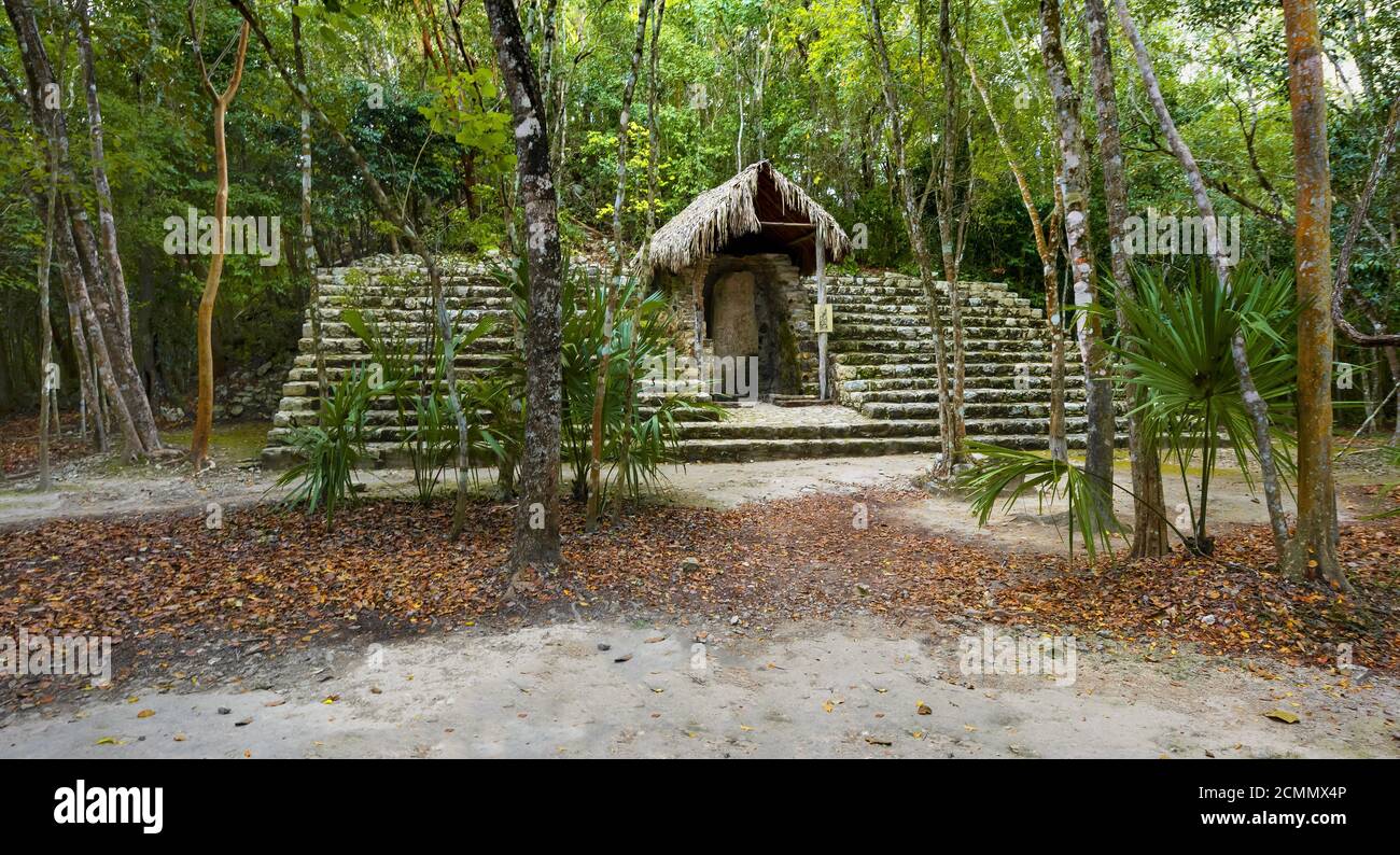 In the ancient Mayan city of Cobá on the Yucatan Peninsula Stock Photo ...