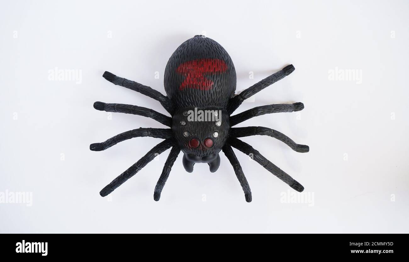 Black clockwork plastic toy spider on a white background, close up ...