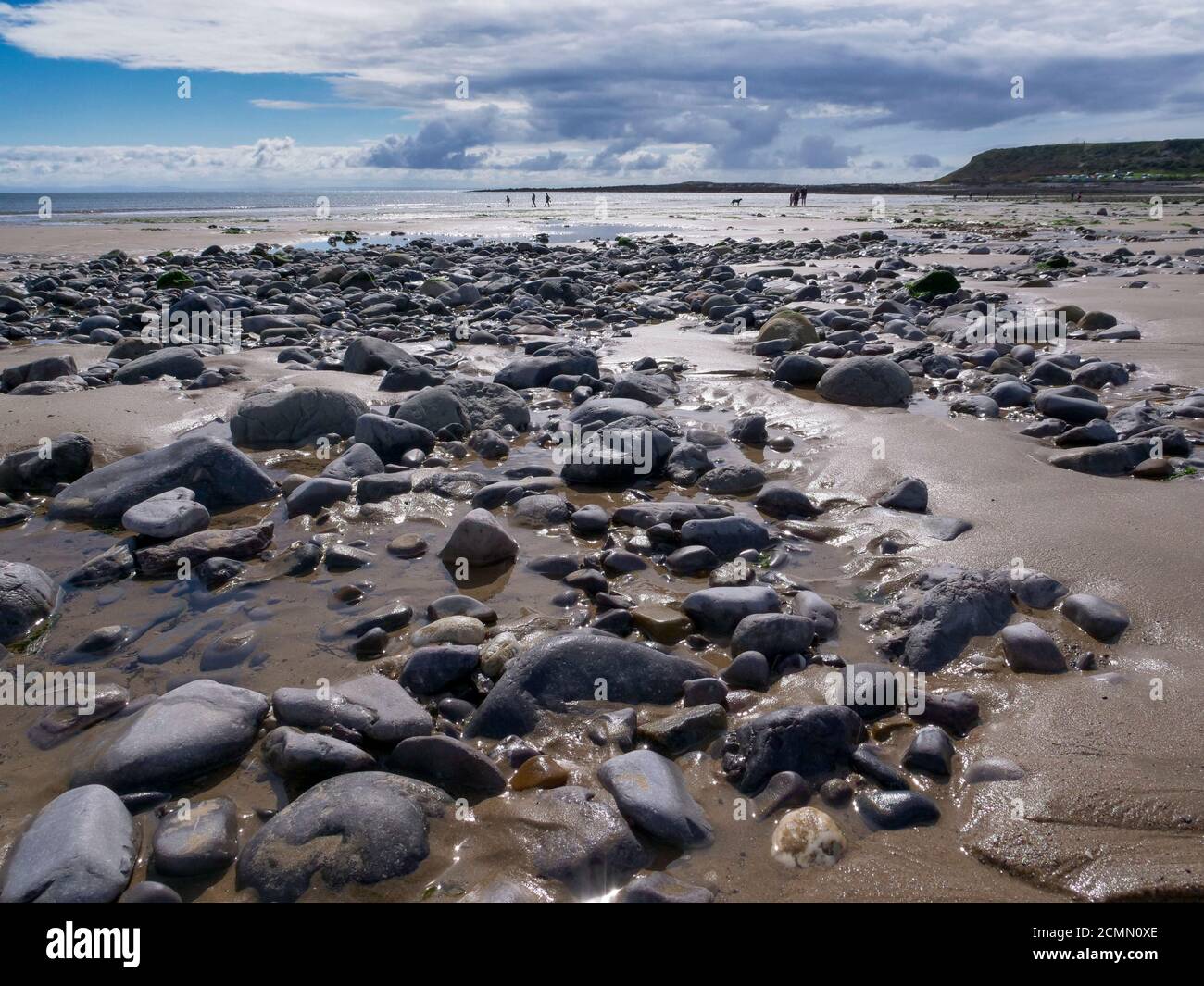 Stones and rocks on the beach at low tide at Port Eynon on the Gower ...