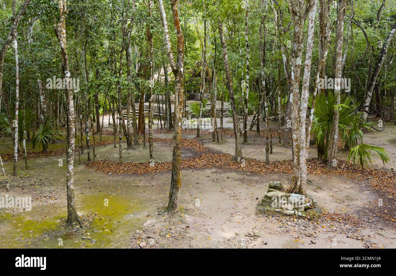 In the ancient Mayan city of Cobá on the Yucatan Peninsula Stock Photo ...
