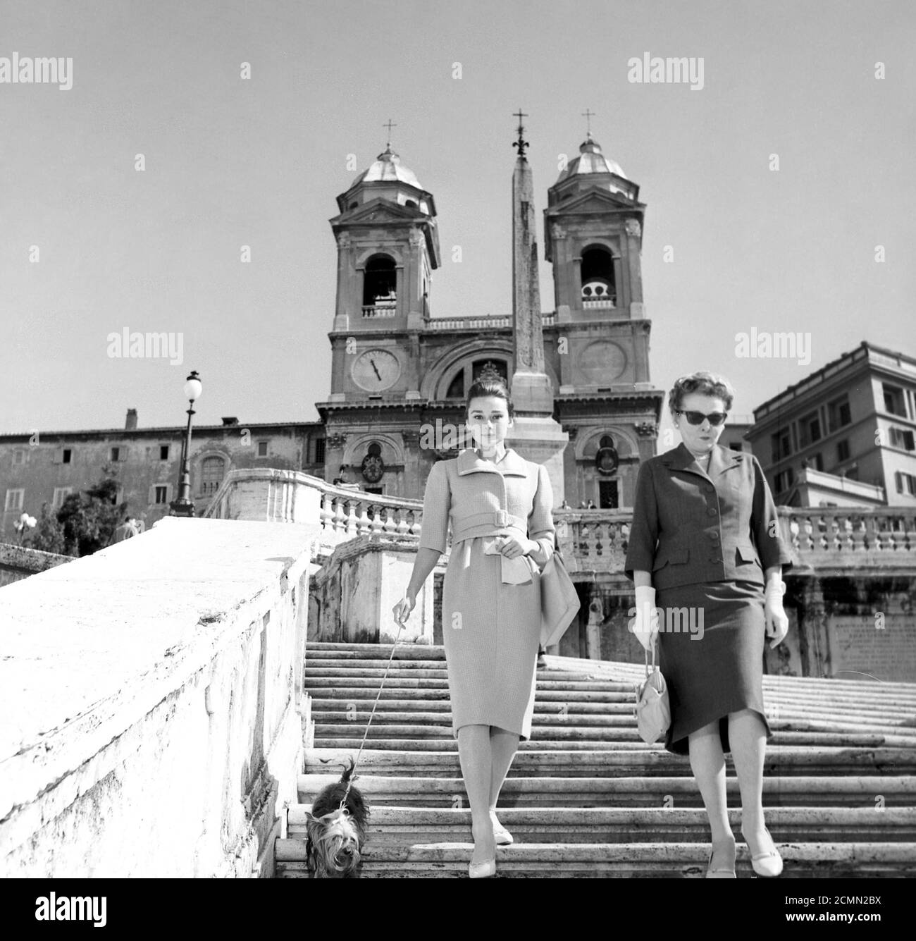 Ella cane hi-res stock photography and images - Alamy