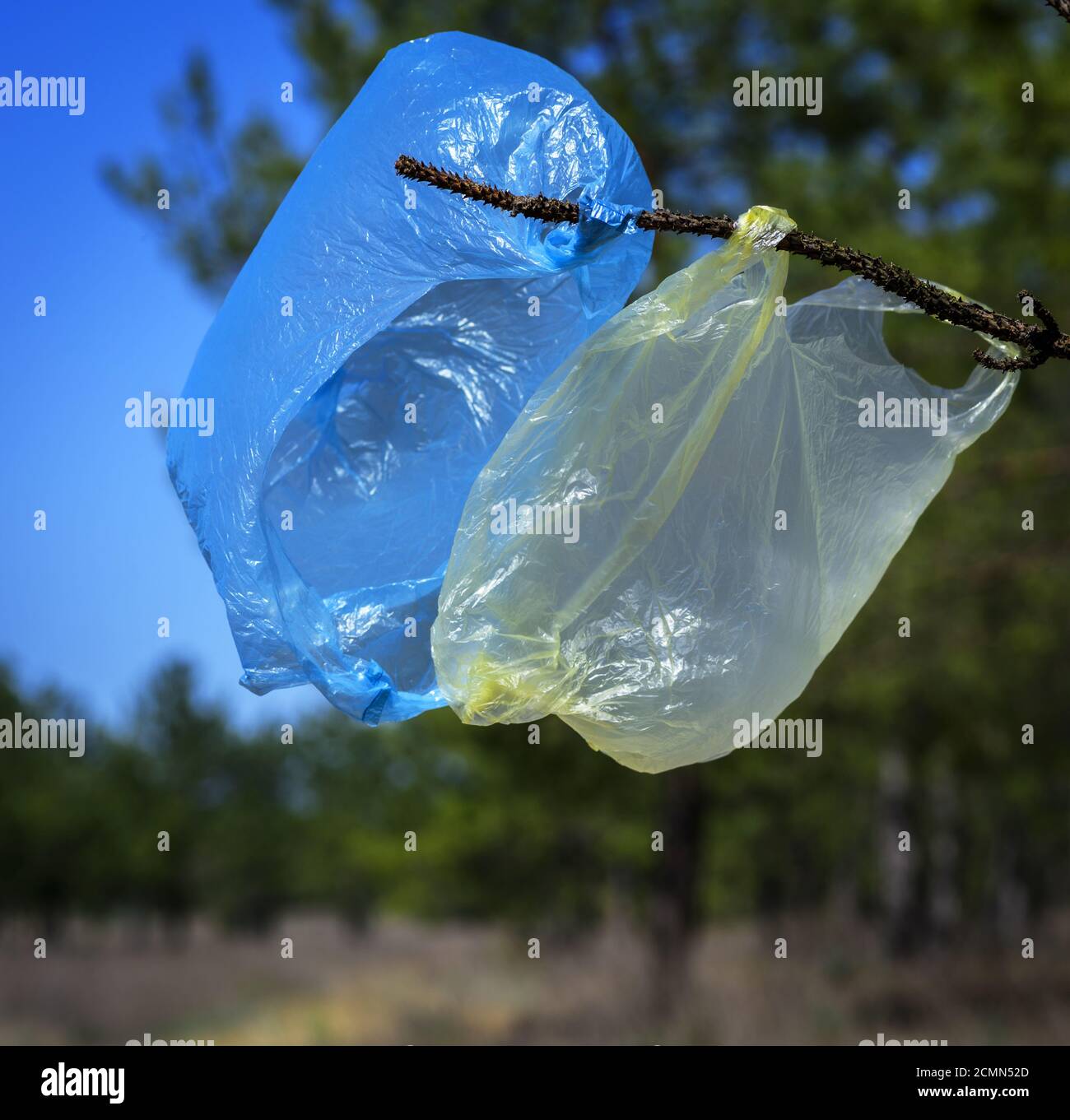 two used empty plastic bags hanging on a branch Stock Photo - Alamy