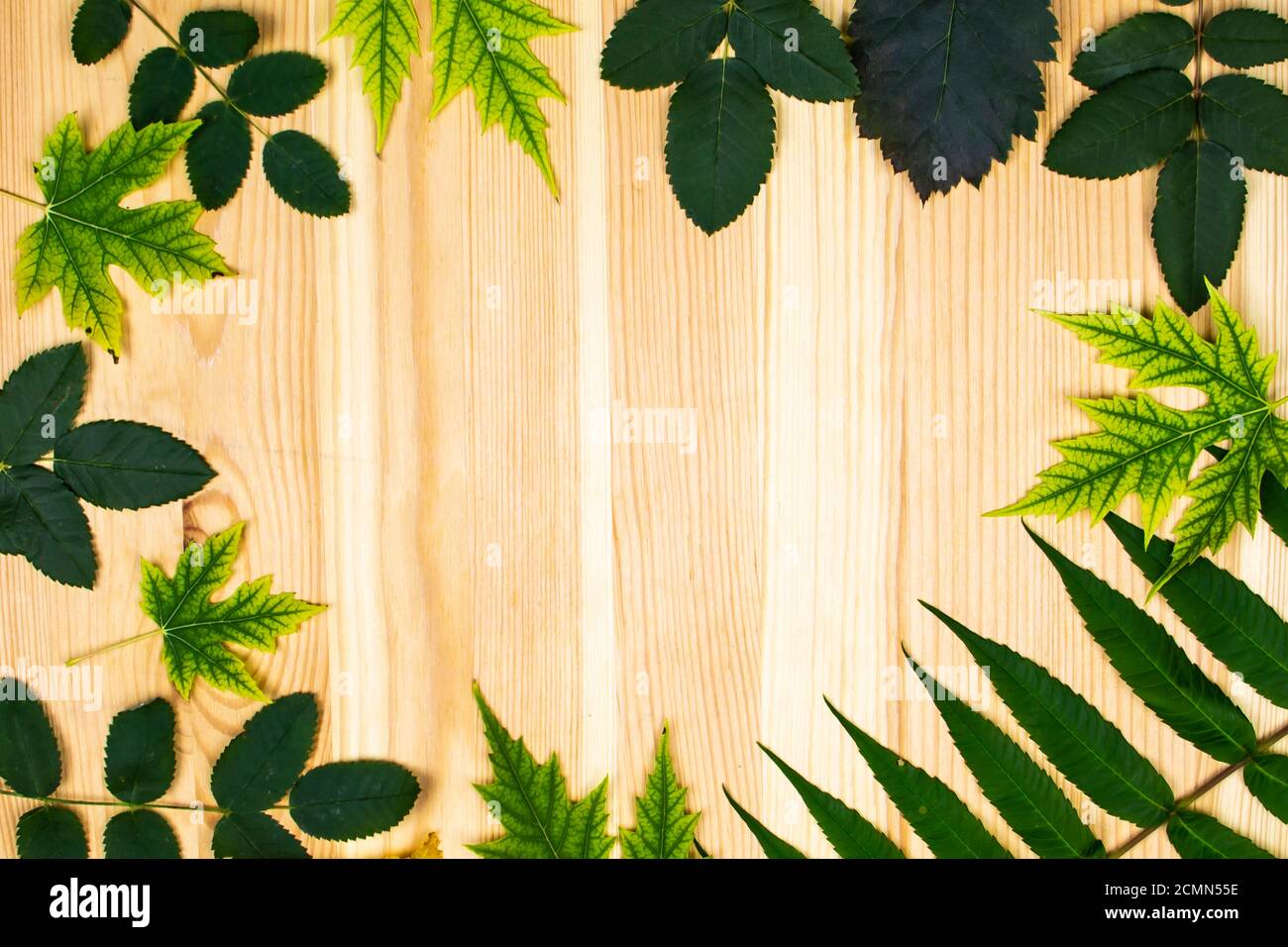Frame from green and yellow leaves on the light wood background ...