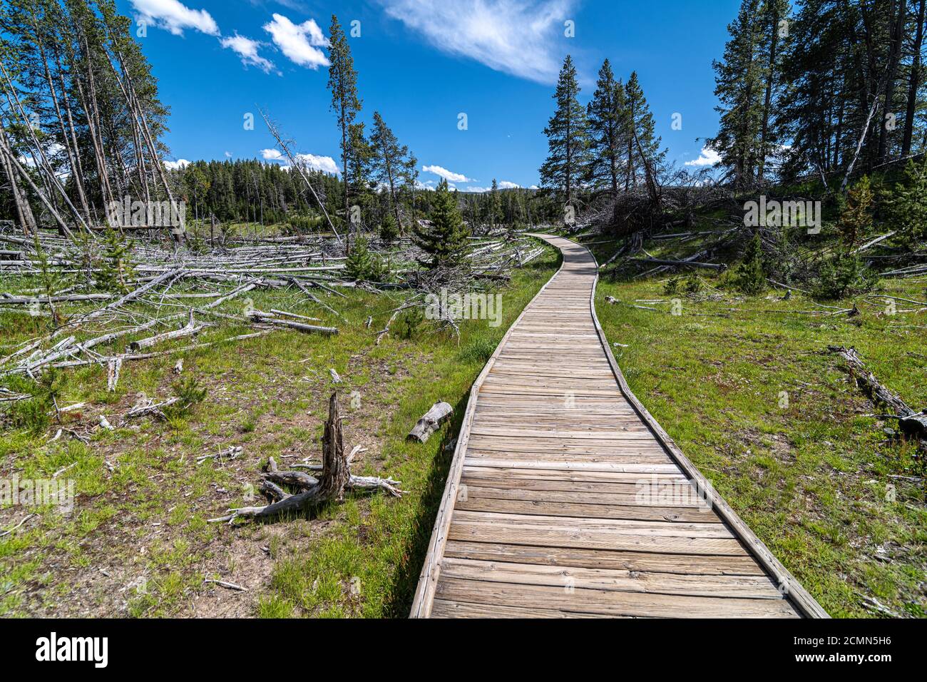 Mud Volcano Area, Yellowstone National Park Stock Photo - Alamy Mud Volcano Area, Yellowstone National Park Stock Photo - Alamy