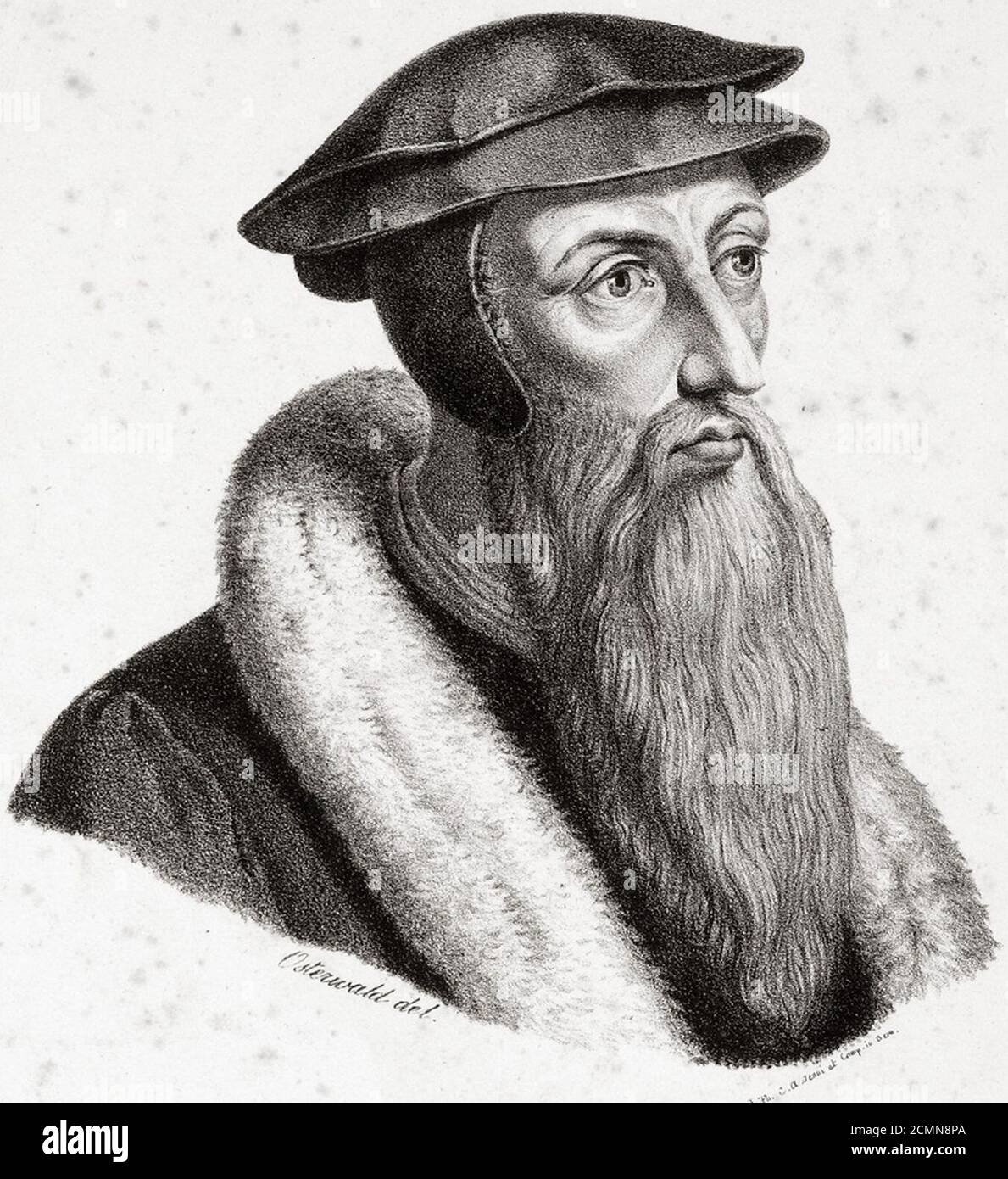 Historical art of of john calvin hi-res stock photography and images ...