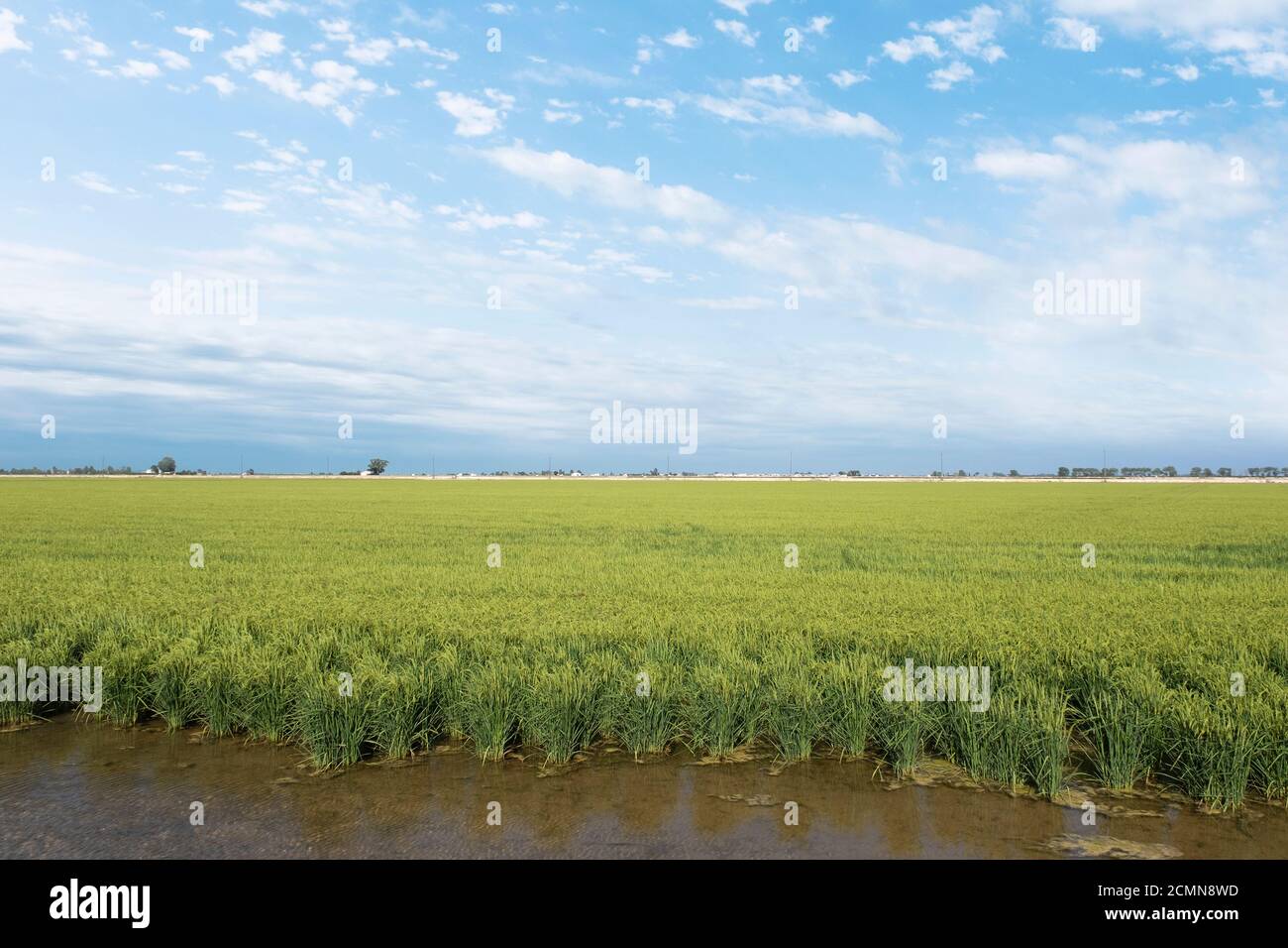 Delta del ebre hi-res stock photography and images - Alamy