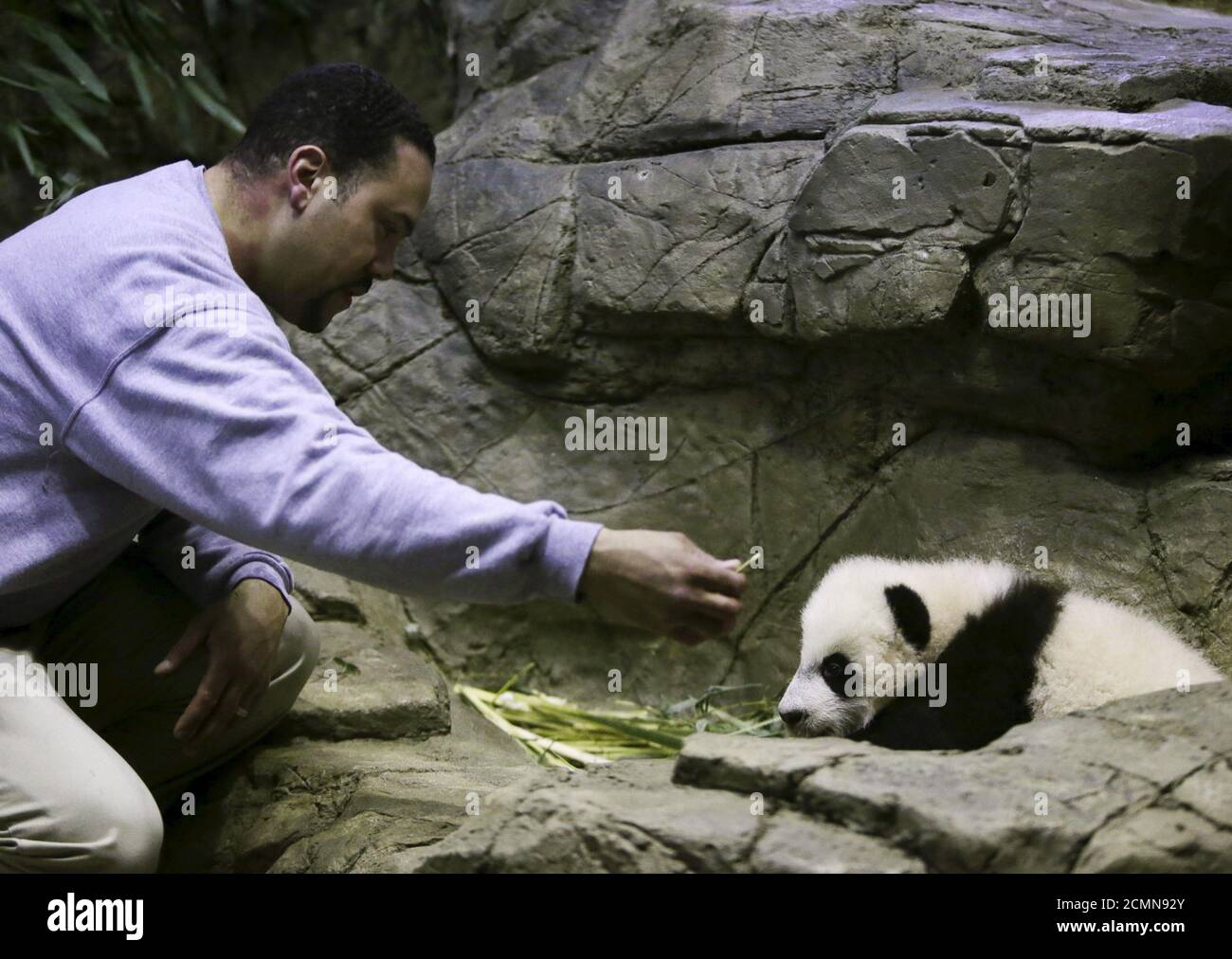 National zoo animal keeper hi-res stock photography and images - Alamy