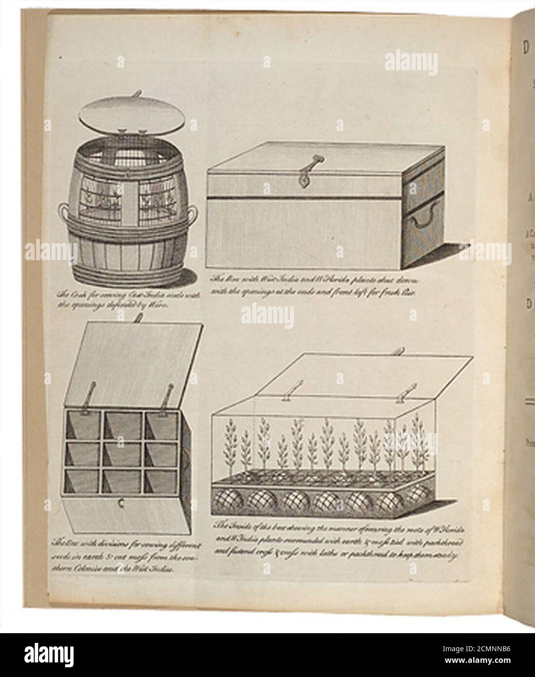 John ellis hi-res stock photography and images - Alamy