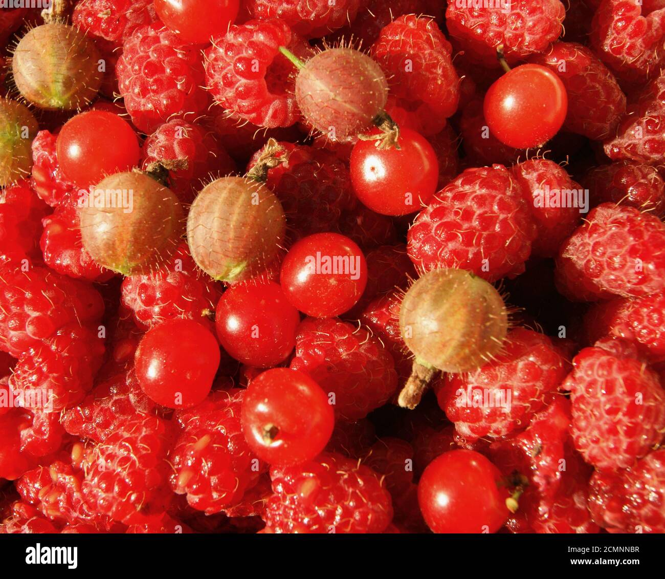 Raspberry gooseberry hi-res stock photography and images - Alamy