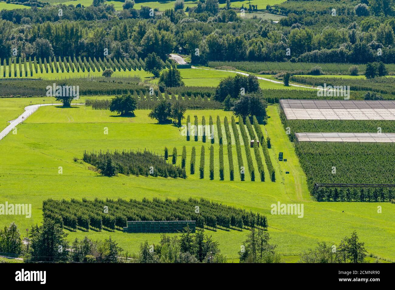 Aerial view apple orchard in hi-res stock photography and images - Alamy