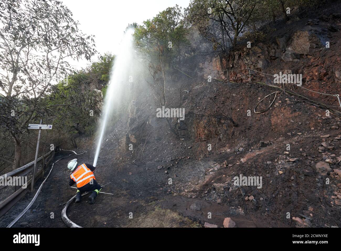 Taben Rodt, Germany. 17th Sep, 2020. After a forest fire, firefighters ...