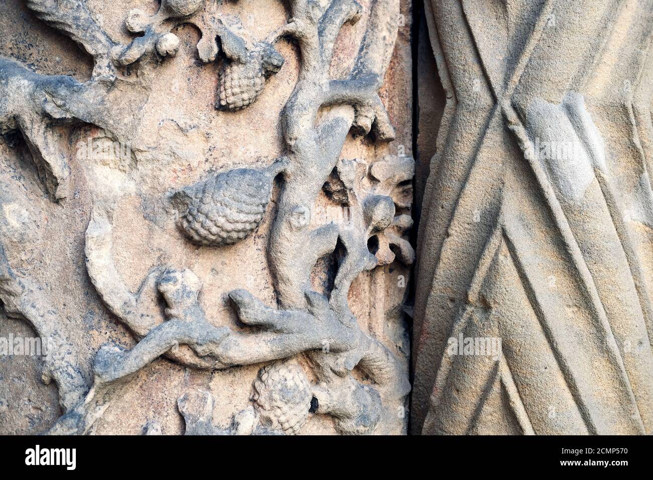 Gothic carving in stone hi-res stock photography and images - Alamy