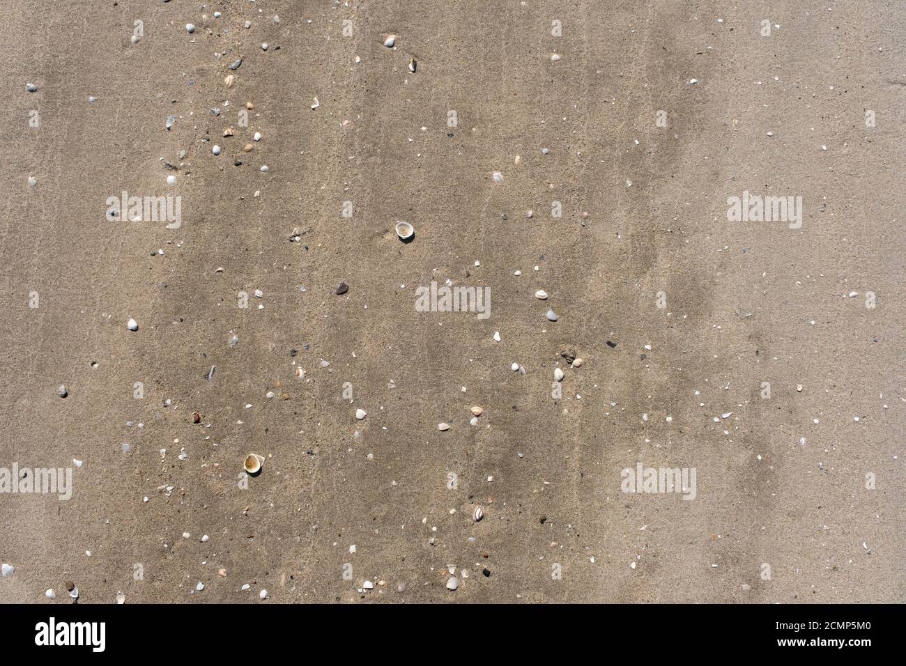 Sand texture. Sandy beach for background. Top view Stock Photo - Alamy