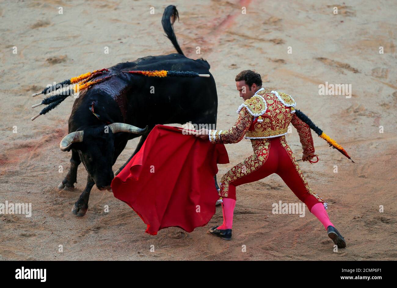 Banderilla bulls hi-res stock photography and images - Alamy