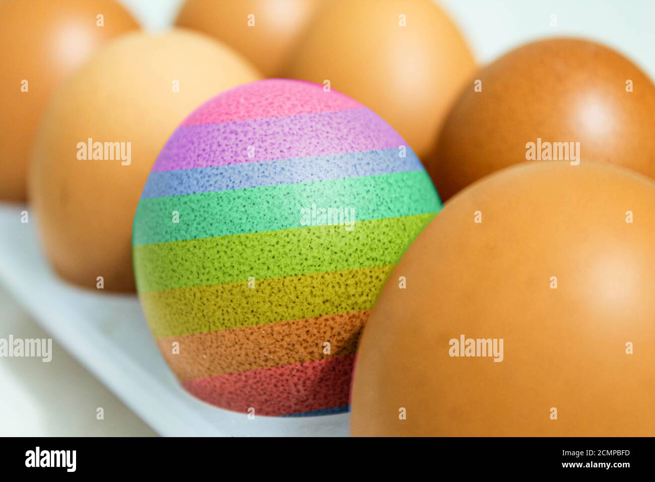 A multi-colored chicken egg among ordinary eggs in a tray Stock Photo ...