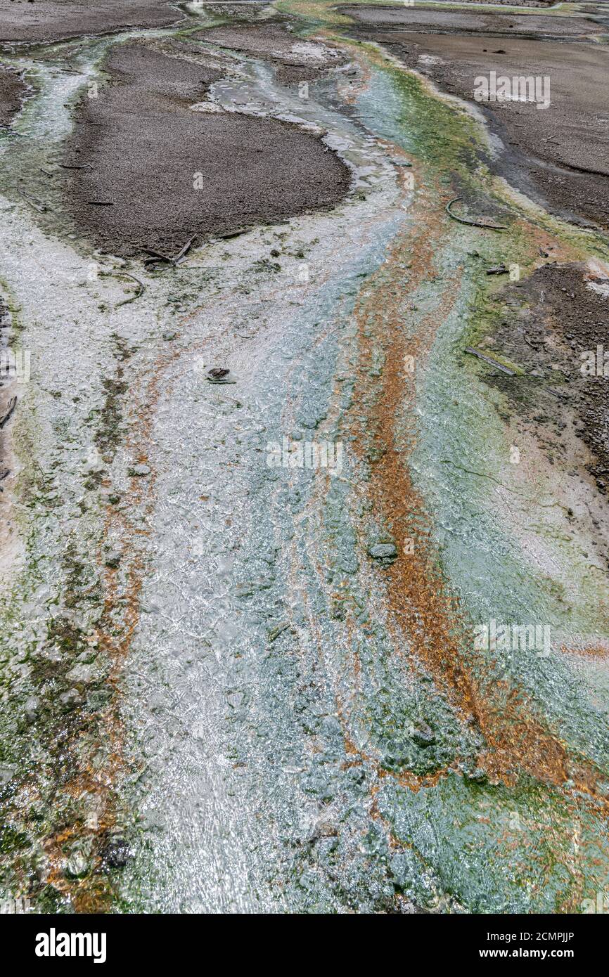 Creek in Norris Geyser Basin, Yellowstone National Park Stock Photo - Alamy