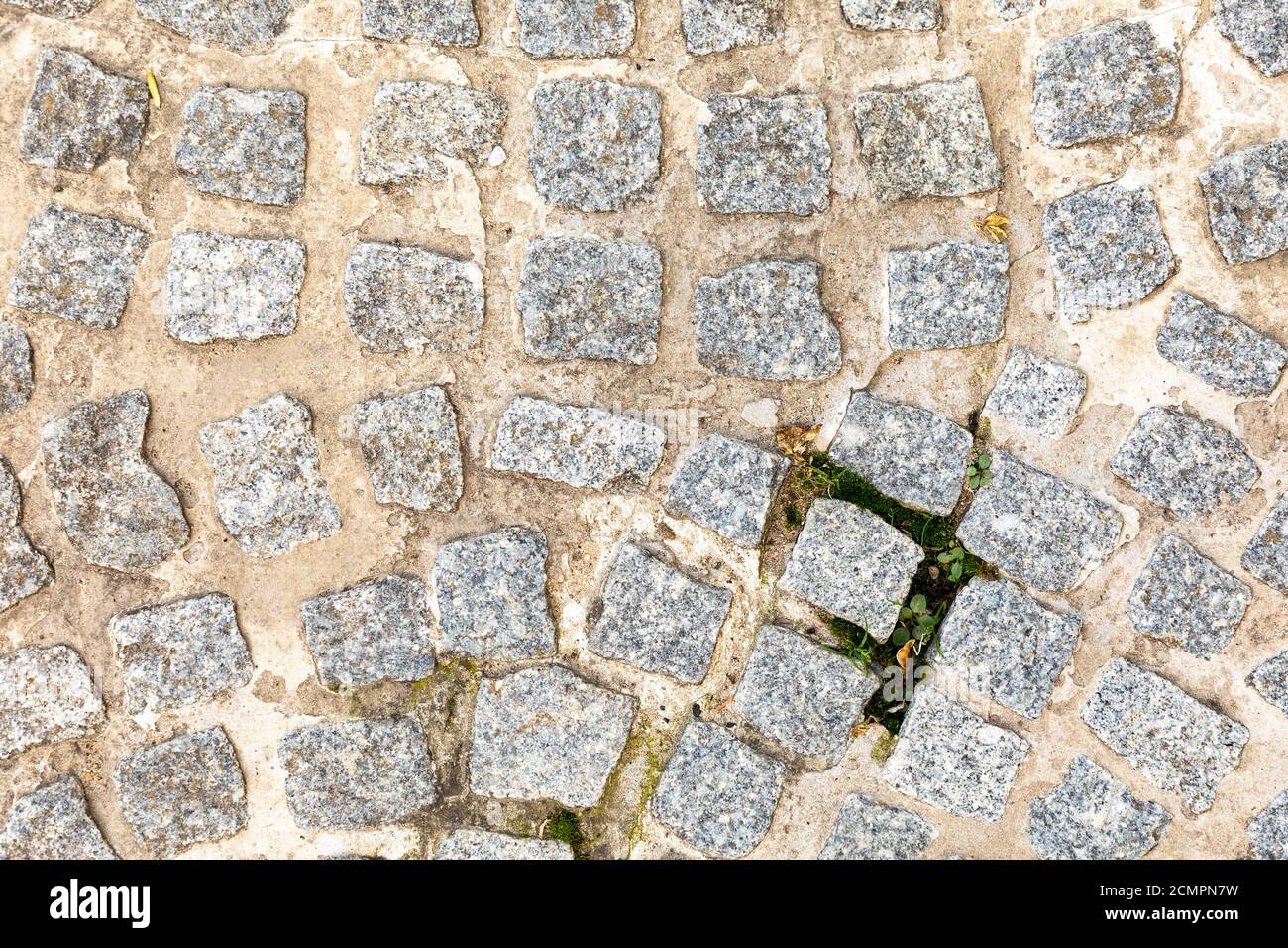 Top view of a dirty cobblestone pavement at daylight Stock Photo - Alamy
