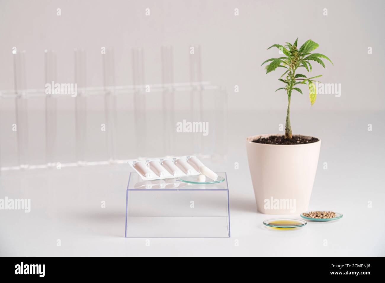 Pack of rectal plugs stands on a transparent glass cube. Hemp seeds ...