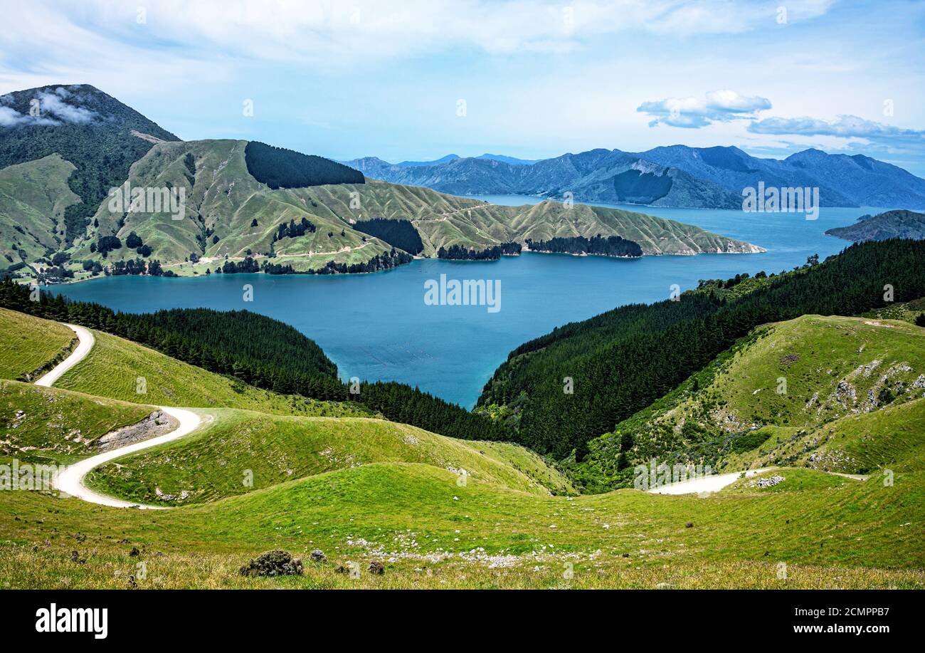 Cissy Bay, Malborough Sounds, South Island, New Zealand, Oceania Stock ...