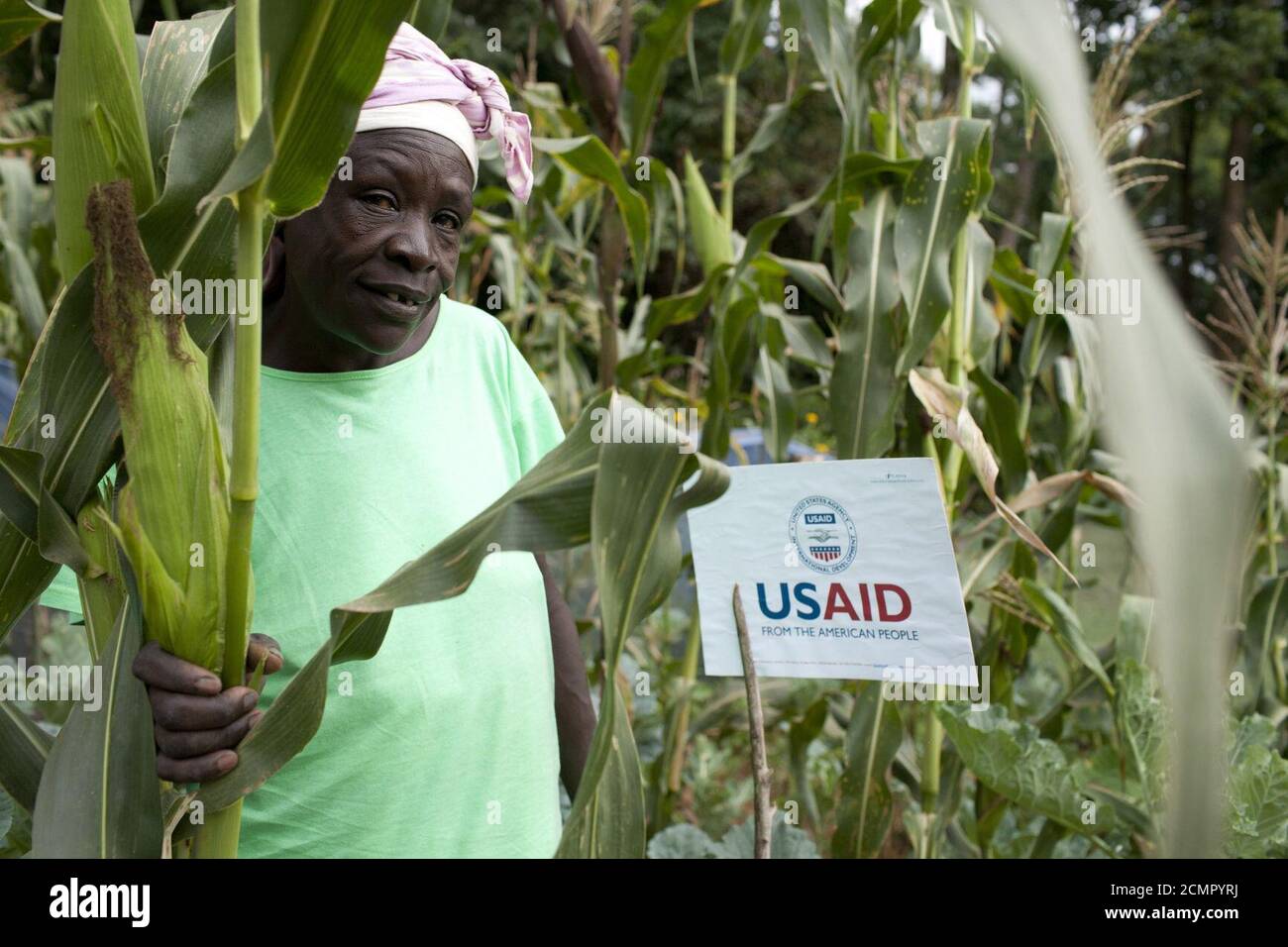 Josephine Odiambo tested an improved maize variety in a corner of her ...