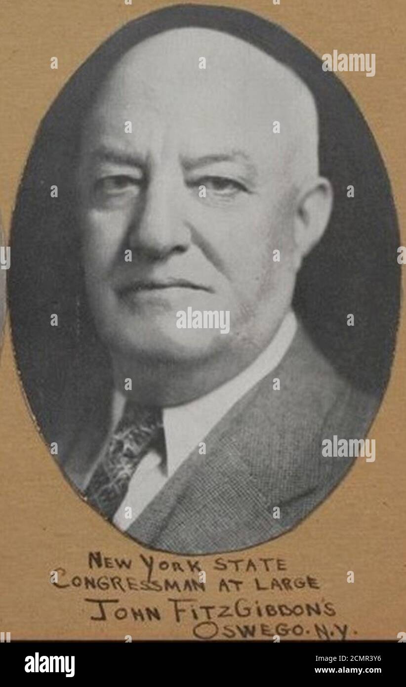 John Fitzgibbons (New York Congressman Stock Photo - Alamy