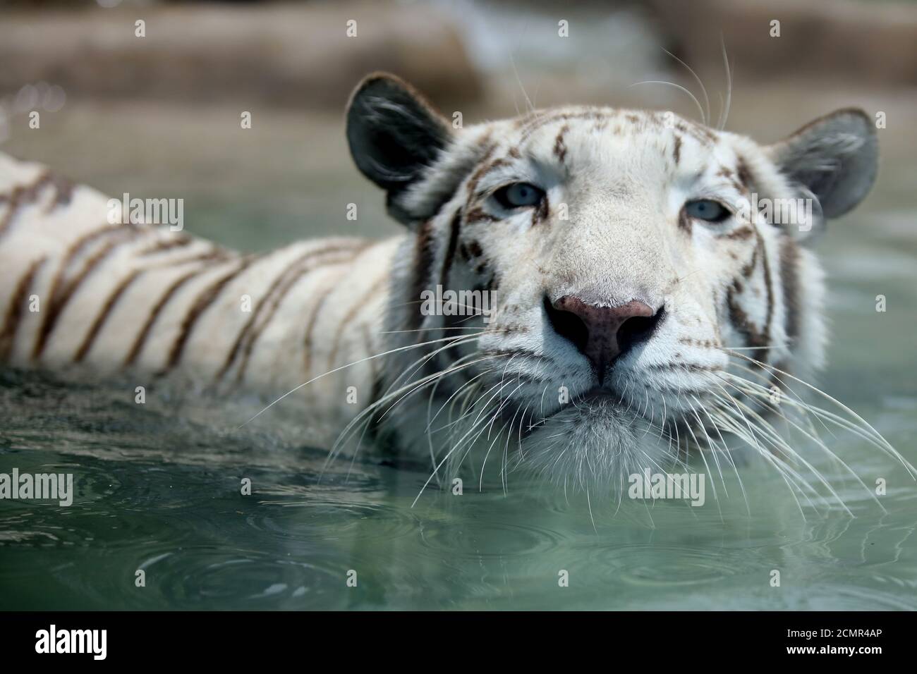 La Garra High Resolution Stock Photography and Images - Alamy