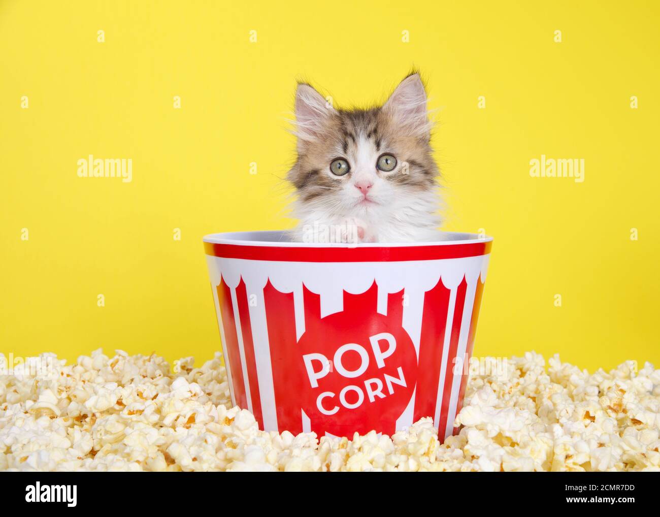 Popping corn isolated hi-res stock photography and images - Alamy