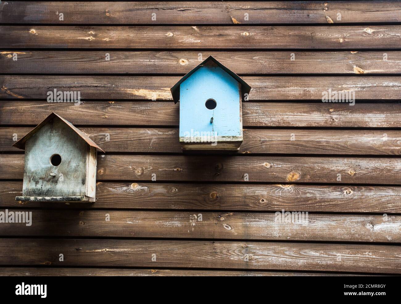 Bird boxes wooden wall hi-res stock photography and images - Alamy