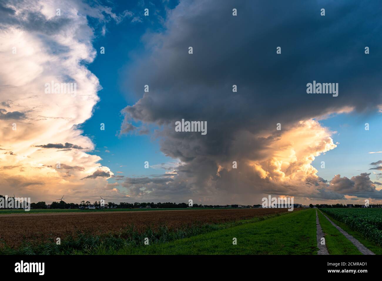 Distant storm clouds are colorfully lit by the light of the low sun ...
