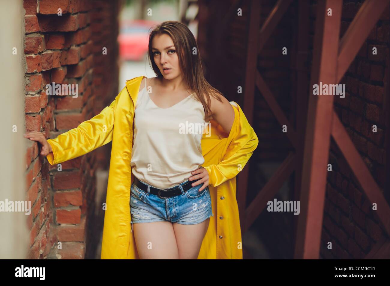 Displaying fashion tendencies. Dark-haired attractive woman posturing ...