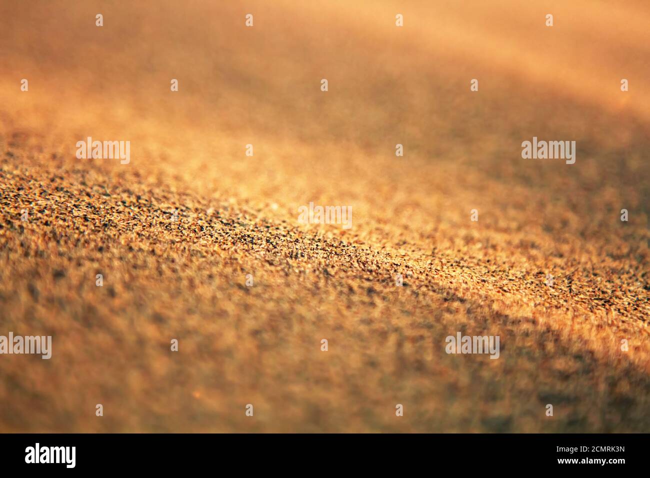 Desert Thar aeolian sand. A patch of sand is focused to Express the ...