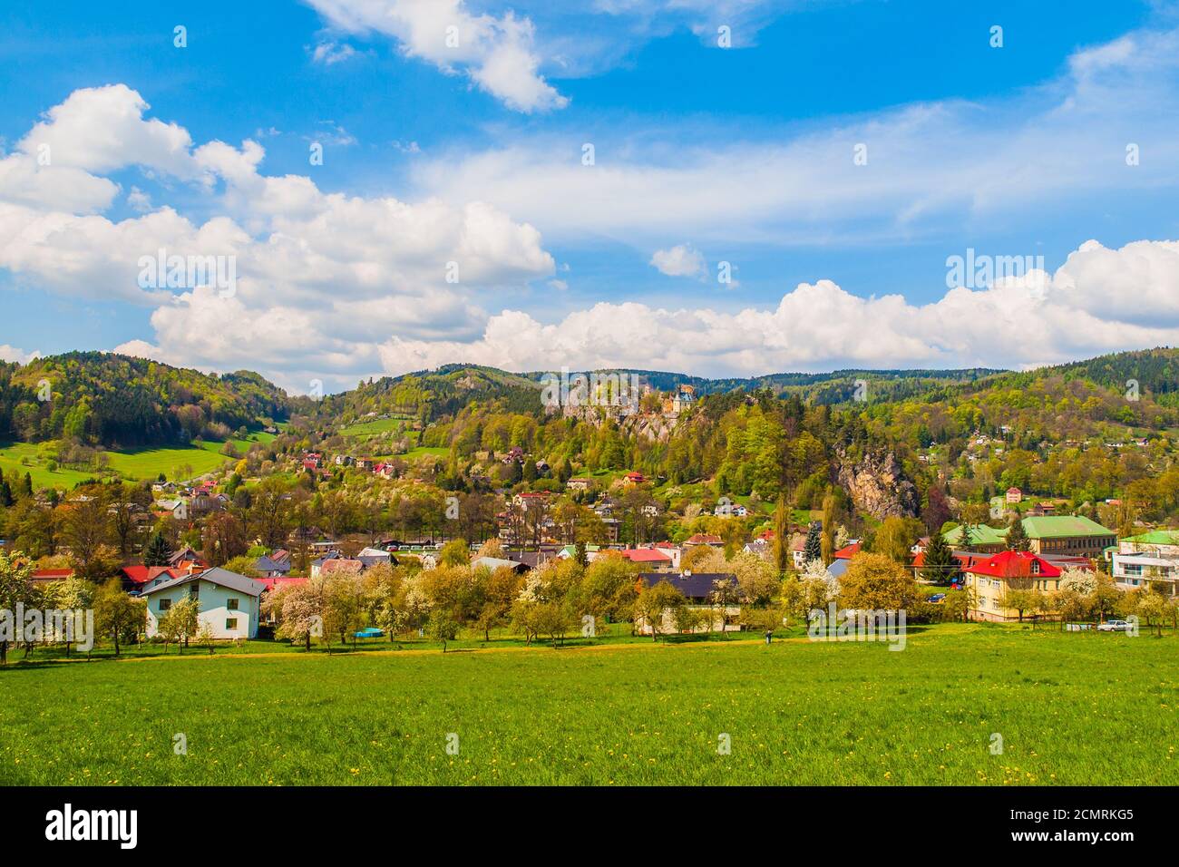 Rural landscape with lush green meadow, blue sky and white clouds at ...