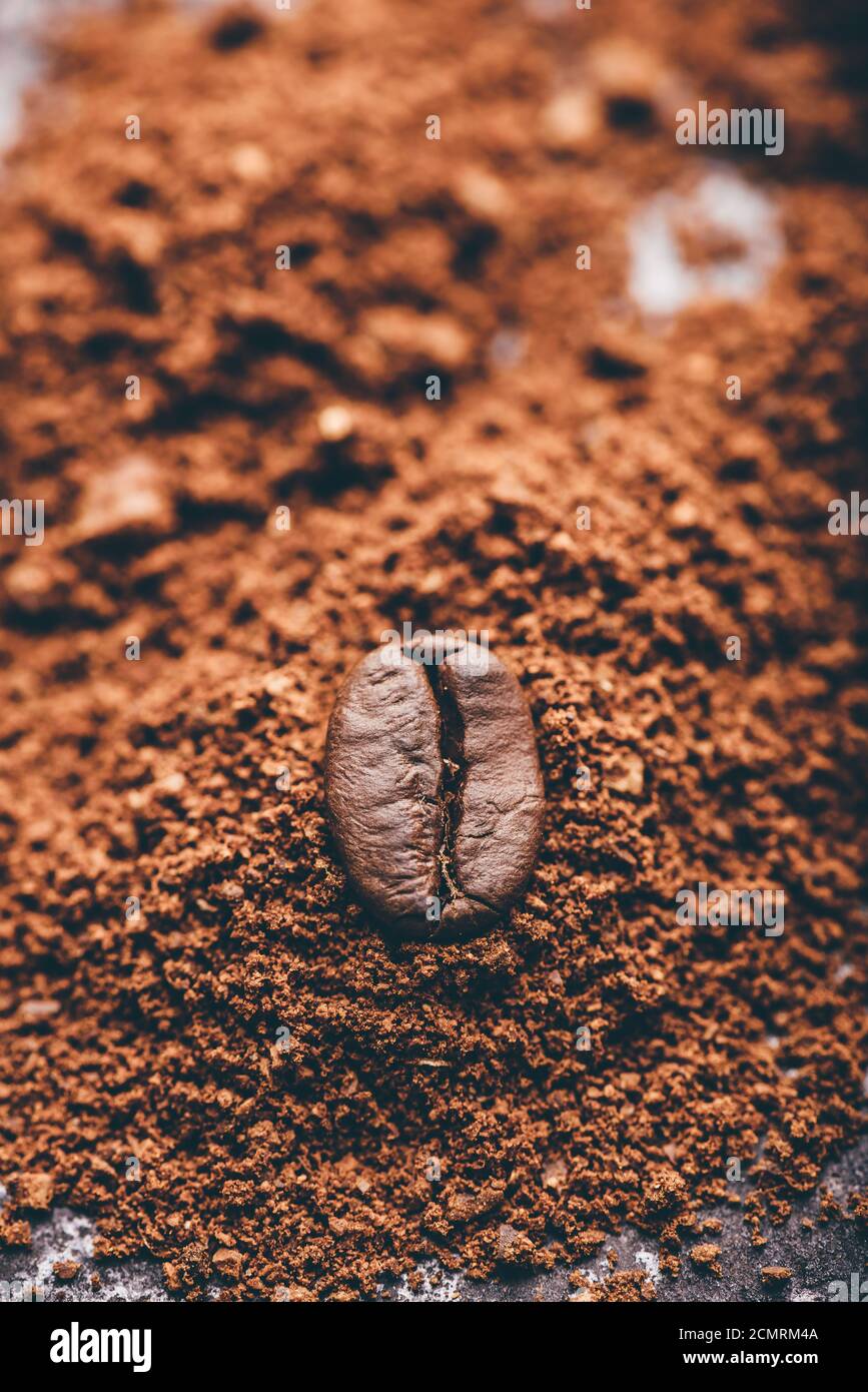 Coffee bean on heap of ground coffee Stock Photo - Alamy