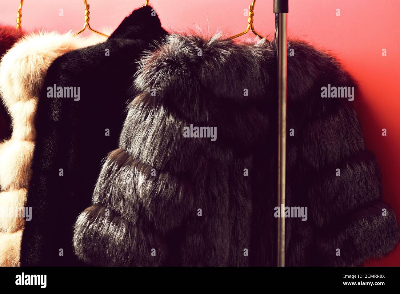 fashionable luxurious waist coats of fur hanging on rack on golden ...