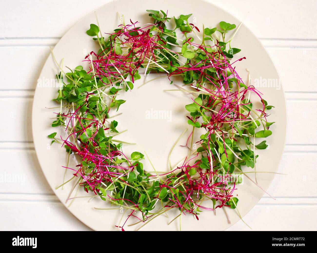 Wreath of Broccoli and Amaranthus Microgreens Stock Photo - Alamy