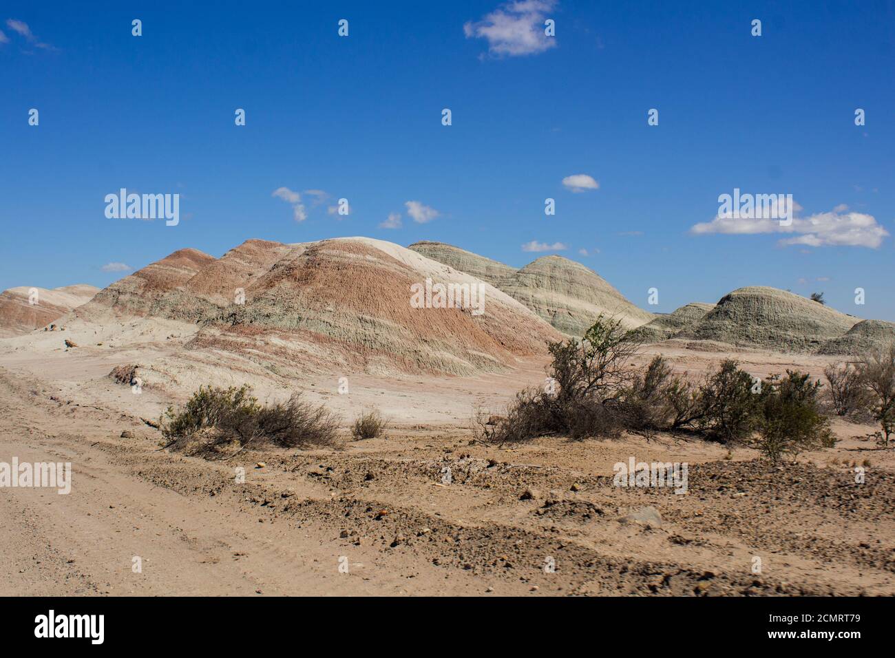 Park Ischigualasto offroad landscape Stock Photo - Alamy