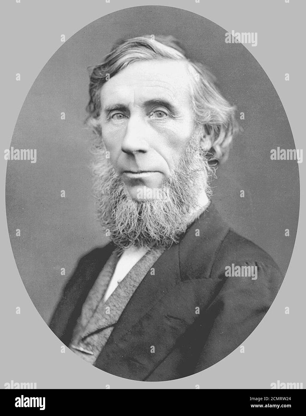 John Tyndall, oval portrait Stock Photo - Alamy